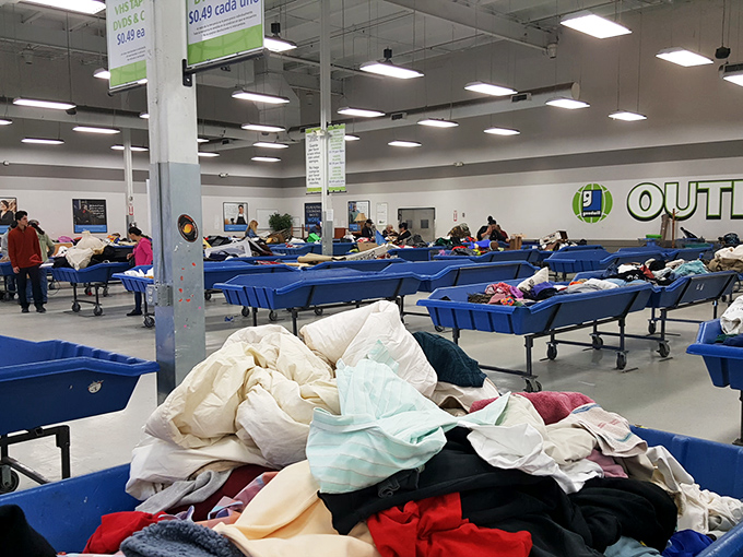 Blue bins as far as the eye can see! Each one a potential goldmine of forgotten treasures waiting for their second chance.