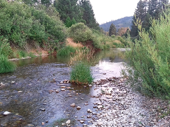 Spanish Creek whispers stories of gold rushers and fly fishermen, its gentle current a timeline flowing through Plumas County's rich history.