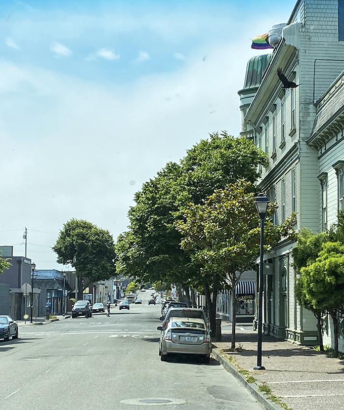 Tree-lined streets offer dappled shade for afternoon strolls, making window shopping in Ferndale as pleasant as the architecture is impressive.