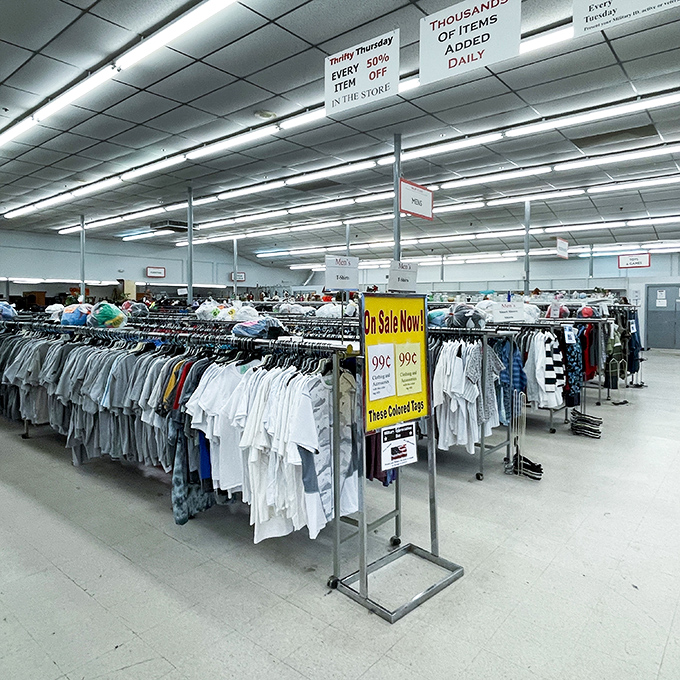 The T-shirt section: where yesterday's concert merch and corporate retreats find new life and new owners with stories of their own.