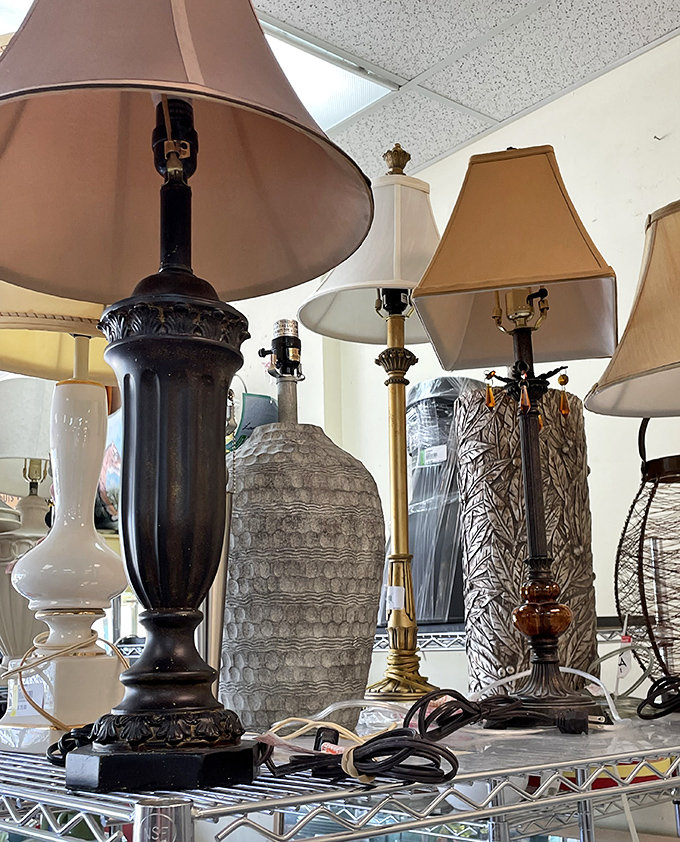 The lamp section: where vintage elegance meets modern budgets. That black urn-style beauty could easily star in a designer showroom.
