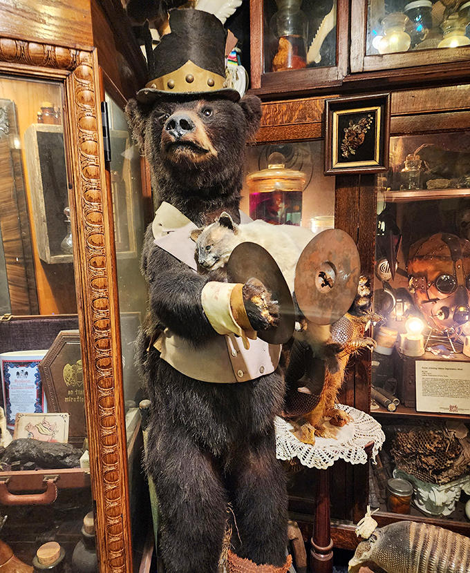 Meet the manor's dapper resident bear, dressed for a formal occasion with cymbals in paw, ready for an eternal encore.