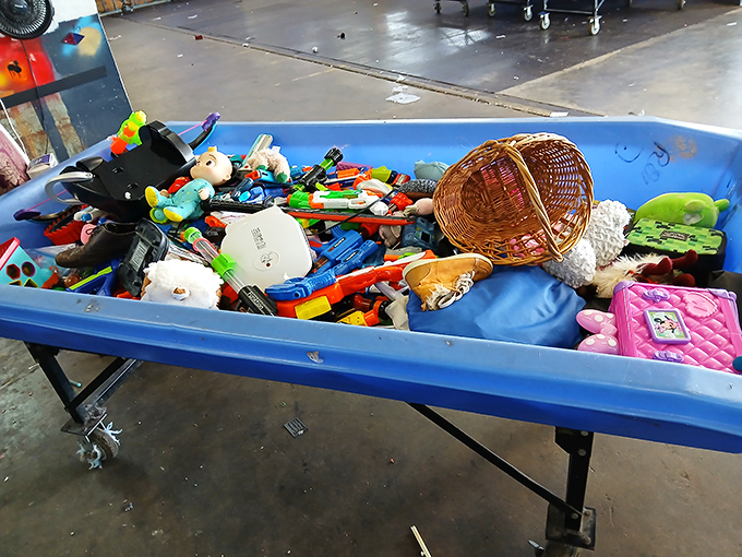 One shopper's castoffs become another's jackpot. This colorful chaos of toys might contain that exact nostalgic piece from your childhood.