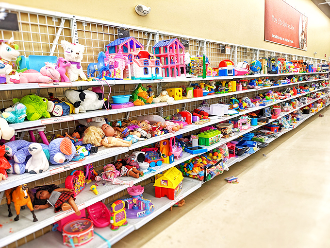 A rainbow explosion of toys where yesterday's beloved playthings await their second act with new little hands.