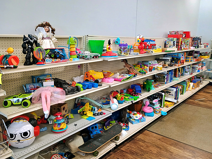 A toy wonderland where childhood dreams get their encore performance&mdash;that dinosaur might just complete someone's collection or start a new obsession.