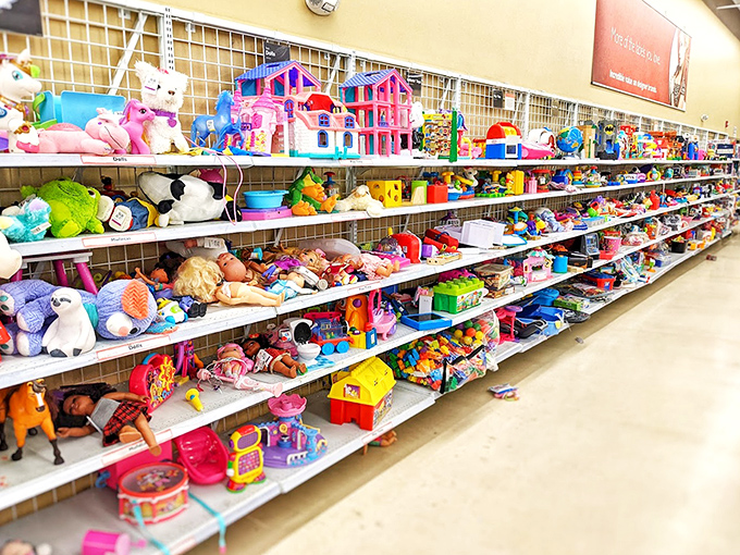 Someone's childhood memories neatly organized on shelves, ready to become another family's Saturday afternoon entertainment collection.