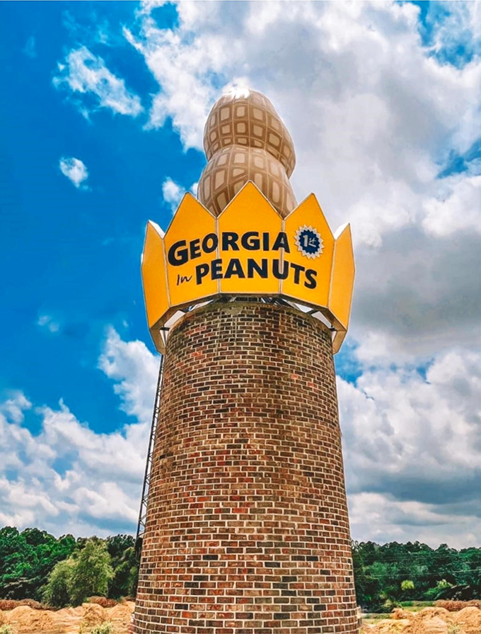 Up close and personal with Georgia's legume legacy. The detailed craftsmanship of this oversized peanut shows it wasn't just some half-baked roadside idea.
