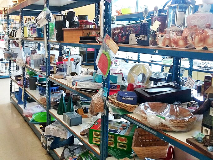 One person's forgotten kitchen gadget is another's culinary revelation. This aisle holds more potential than my first apartment's entire contents.