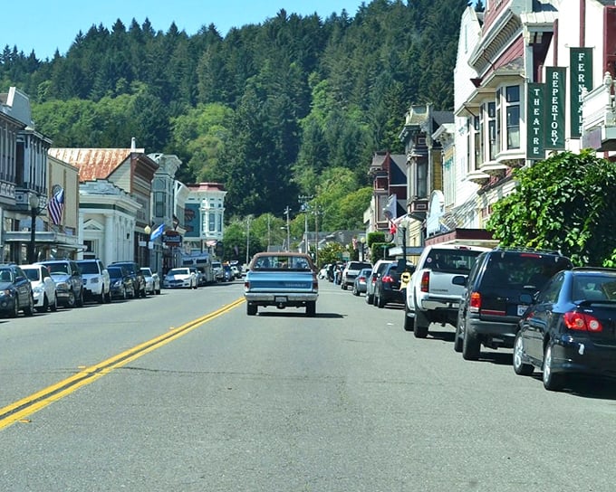 Even on a quiet day, Ferndale's historic buildings whisper stories of bygone eras, their weathered facades like pages from a living history book.
