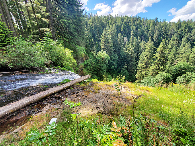 The view from this ridge makes you feel like you've discovered Oregon's version of Narnia, minus the talking animals and eternal winter.