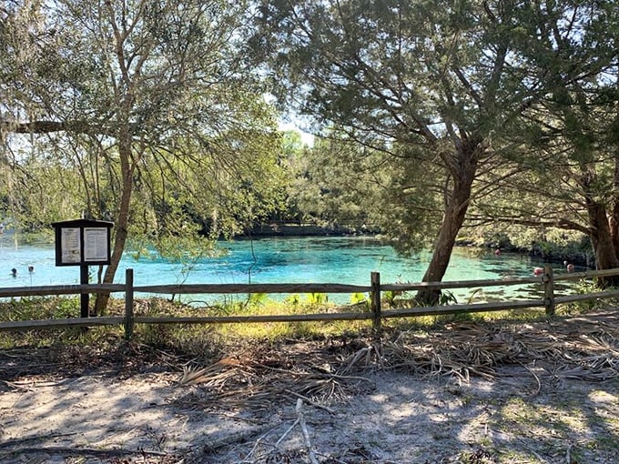 A rustic fence frames nature's masterpiece. This view alone is worth the trip – no Instagram filter required.