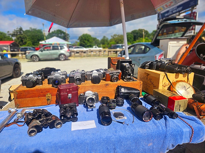 Vintage camera heaven for photography buffs. Each one has captured thousands of moments and is ready for thousands more in the right hands.