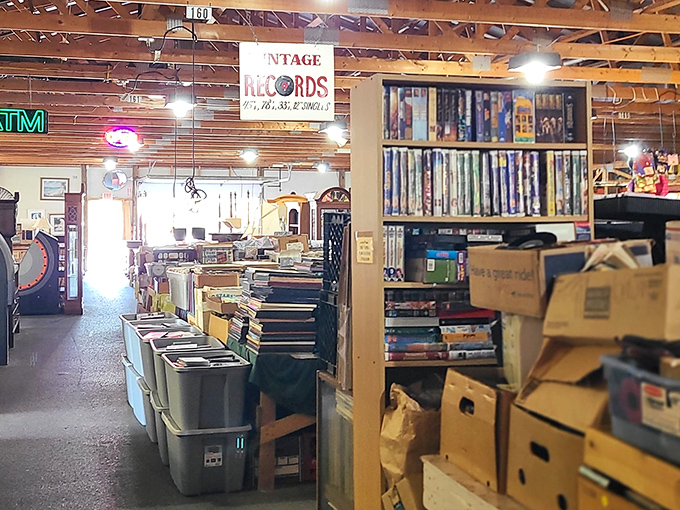 Vinyl records stack like musical time machines, waiting to spin tales from when albums had actual album covers.