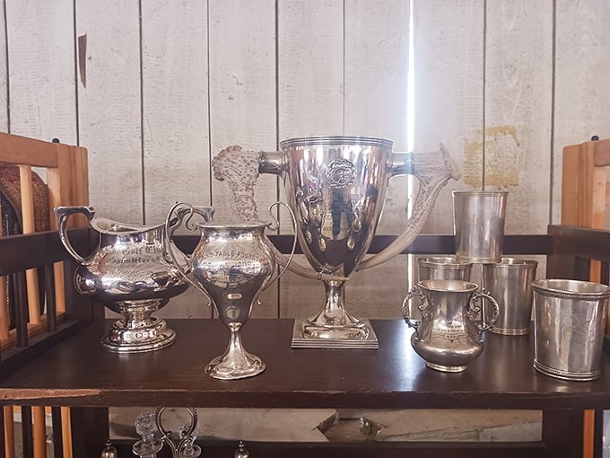 Trophy case or time machine? These gleaming silver vessels once celebrated victories and now await a second life in someone's curio cabinet.