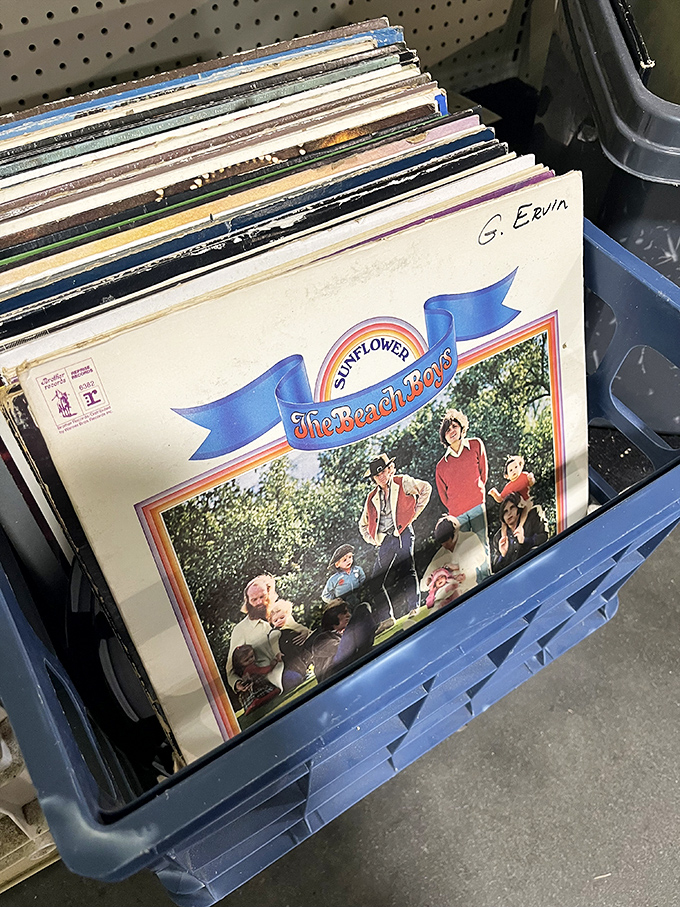 Vinyl enthusiasts, rejoice! The Beach Boys' "Sunflower" album peeks out from a sea of records, each waiting to spin tales of musical nostalgia.