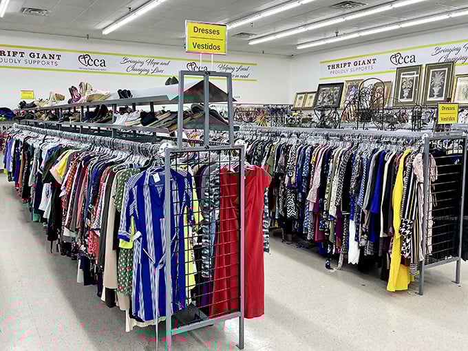 A rainbow of dresses awaits new owners, each garment with its own story and now patiently hanging in size order, ready for its second chapter.