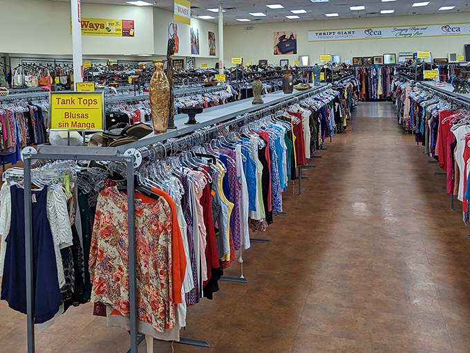 When clothing racks form perfectly organized rows like this, angels somewhere are getting their wings and shoppers are getting their deals.