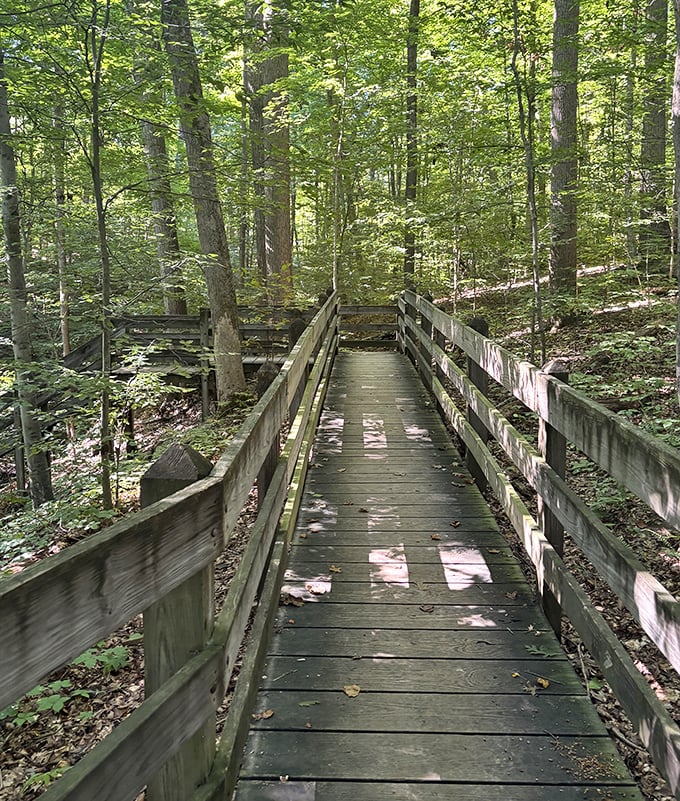 This wooden boardwalk promises adventure while keeping your shoes mud-free. The compromise between wilderness and civilization we all need.