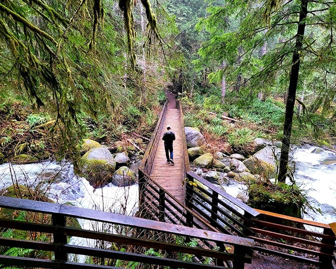 This isn't just a bridge&mdash;it's a portal between everyday worries and woodland serenity, complete with the soundtrack of rushing water below.