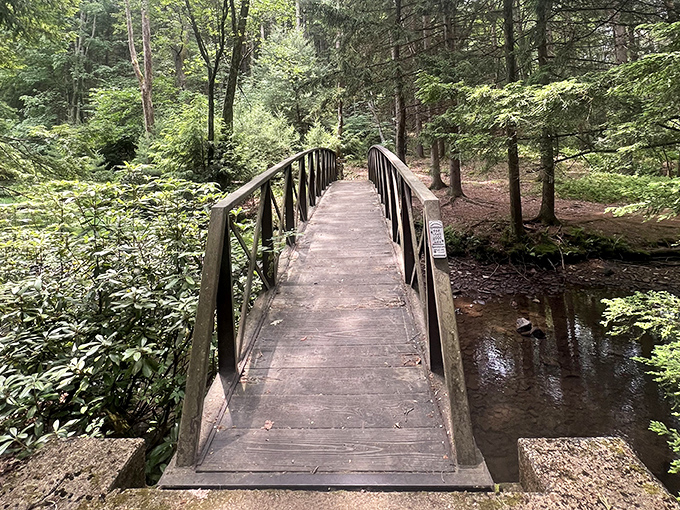 This footbridge doesn't just connect two pieces of land&mdash;it connects you to the childhood wonder you thought was lost in your inbox somewhere.