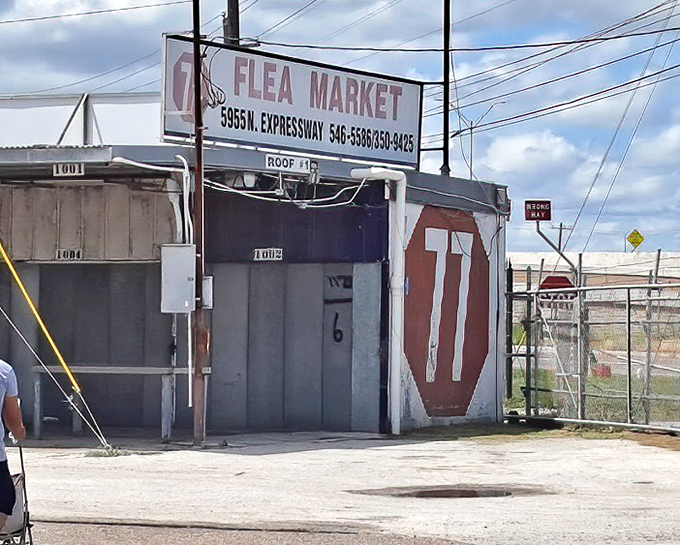 Bright lights illuminate a shopper's wonderland where bargains hide around every concrete corner.