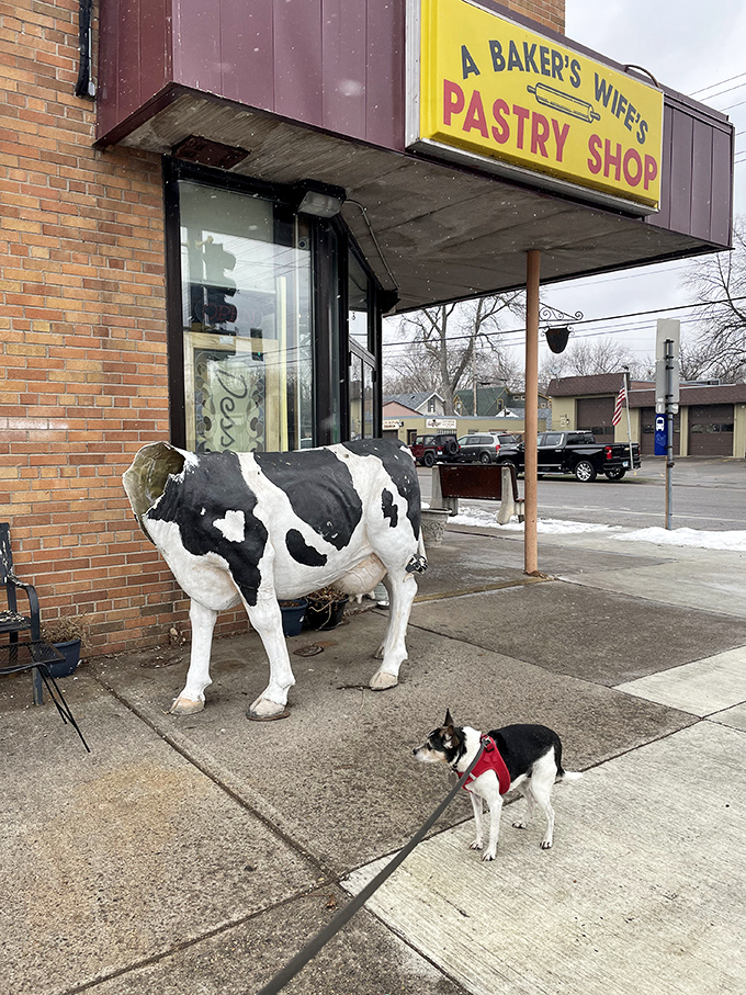 A Baker's Wife keeps it real with zero pretension and maximum flavor. That cow statue isn't just decoration&mdash;it's guarding some of Minneapolis's most treasured pastries!