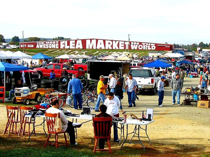 Under these cheerful pavilions, every table tells a different story of Kentucky's finest finds.