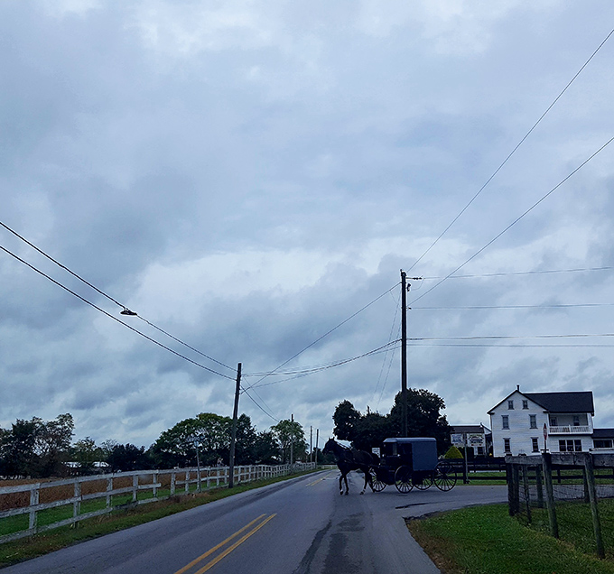 Rolling countryside stretches endlessly, like nature's own green carpet welcoming you to slow down and breathe.