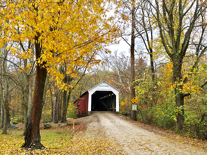 Nature's confetti celebration! Bloomingdale's covered bridge stands like a crimson portal through autumn's golden explosion &ndash; Indiana's answer to "The Road Not Taken."