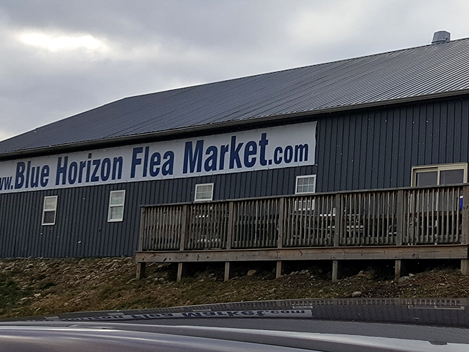 Blue Horizon stretches wide like a treasure hunter's dream, promising endless aisles of surprises and steals.