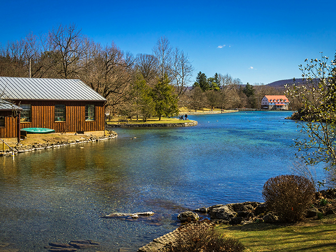 Crystal-clear springs bubble up like nature's own champagne, creating the most peaceful lakeside scene you'll ever witness.