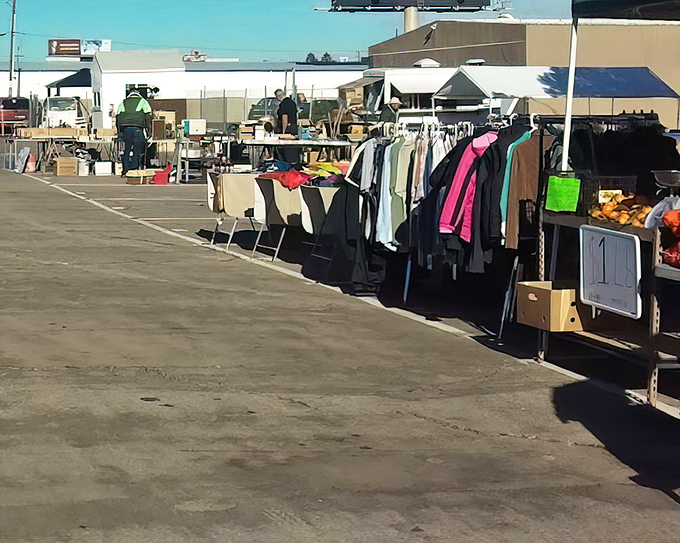 Boulder Highway Swap Meet spreads out like a treasure map, with deals hiding around every corner.