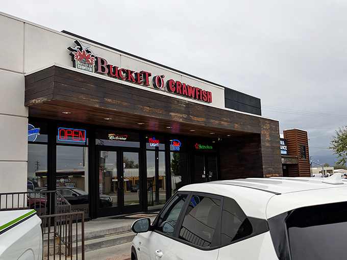 Bucket O' Crawfish wears its Louisiana heart on its sleeve with bold, bayou-inspired colors.