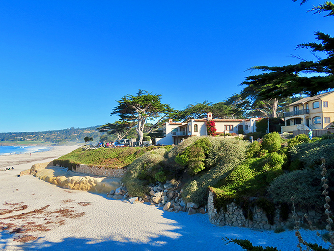 Carmel-by-the-Sea's pristine shoreline and cypress trees create the perfect backdrop for your next holiday card.