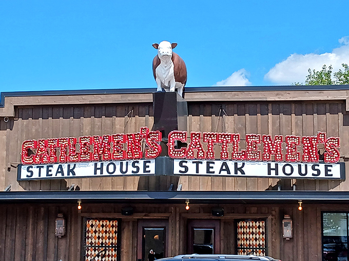 That rooftop cow has become Fort Worth's most famous dinner guest, silently advertising the beef magic below.