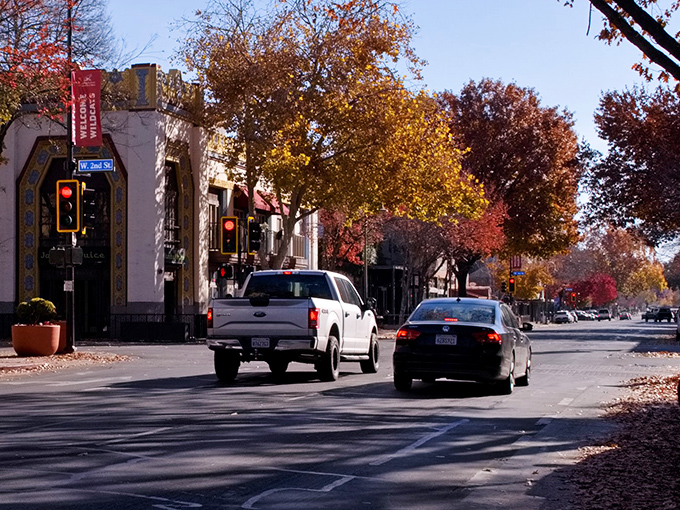 Chico's vibrant downtown with autumn colors, where college-town energy meets peaceful retirement living in perfect harmony.