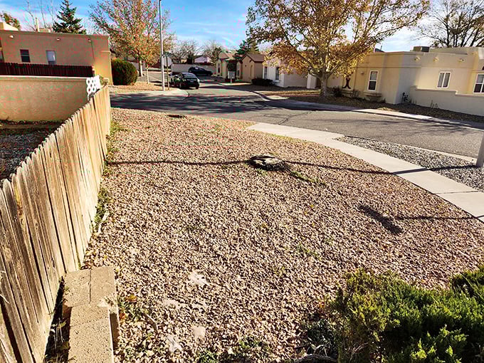 Desert landscaping meets small-town living where every yard tells a story of southwestern simplicity and charm.