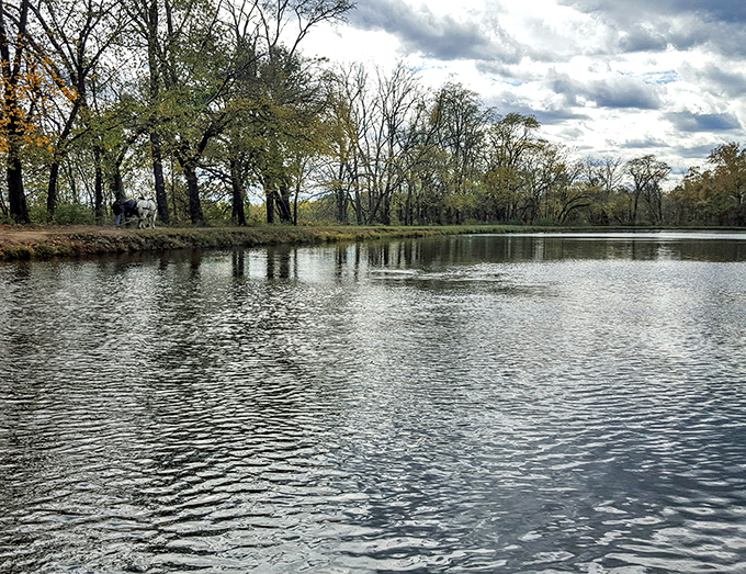 Coshocton's peaceful lake mirrors the sky perfectly, creating nature's own meditation space for weary souls.