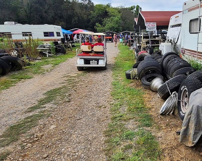 At Dog Days Flea Market, golf carts navigate the treasure maze while old campers serve as permanent shops. Gloriously chaotic!