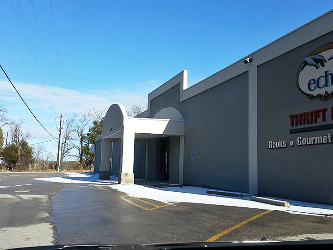 Modern architecture meets thrift store charm, proving secondhand shopping can look sophisticated and inviting at the same time.