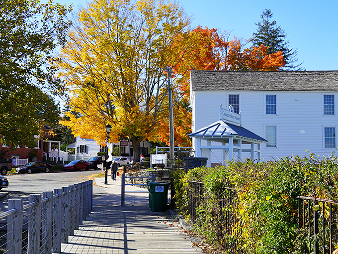 Fall foliage explodes in golden glory while classic white buildings provide the perfect backdrop for nature's annual show.