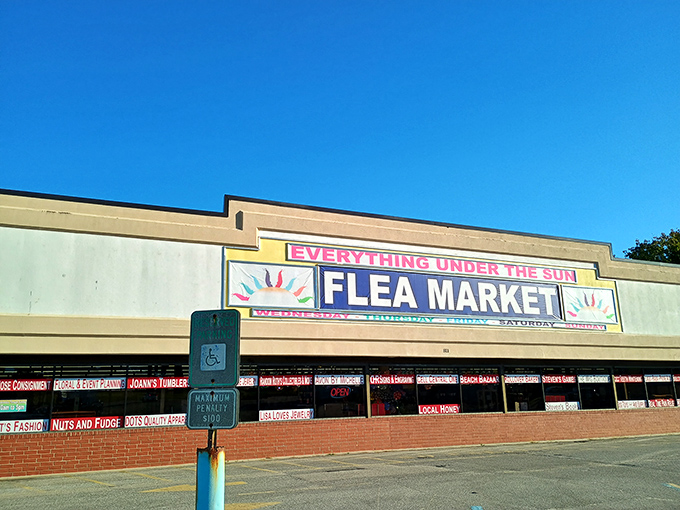 That cheerful "Everything Under the Sun" promise isn't just marketing - it's a delightful reality for coastal treasure seekers.