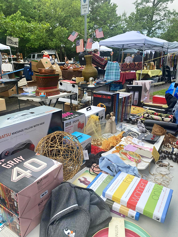 Stars, stripes, and surprising finds - Fairfax Funky Flea brings community spirit to weekend treasure hunting.