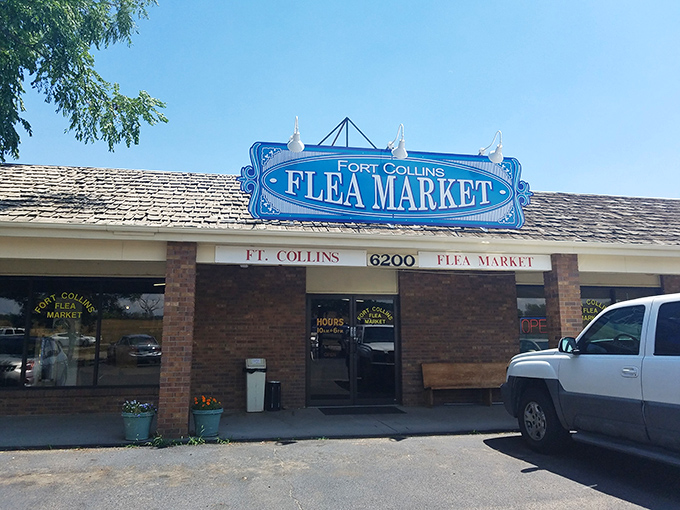 Fort Collins knows presentation matters&mdash;that blue sign promises treasures inside this unassuming brick building that delivers big time.