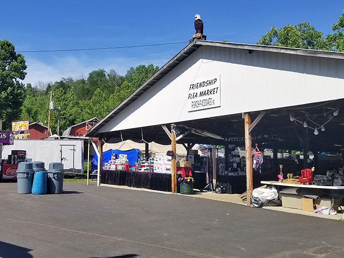 This inviting store holds decades of memories and countless stories waiting to be discovered.