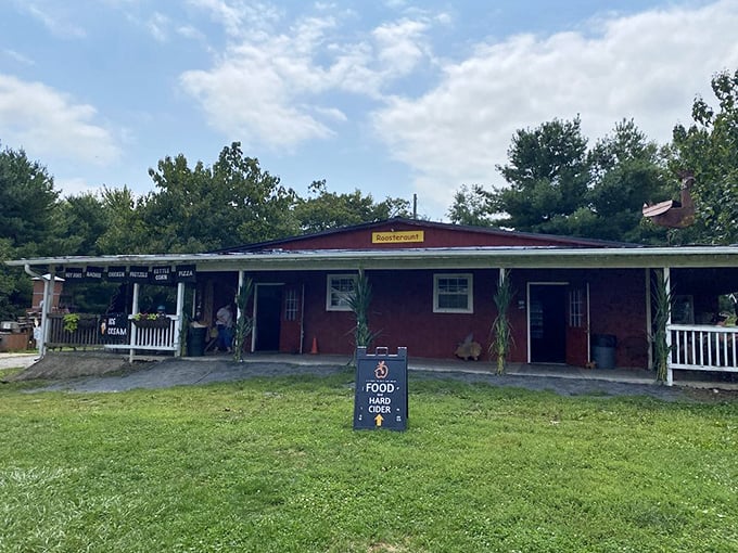 Apple trees stretching across valleys remind you that the best things in life require a little country driving.