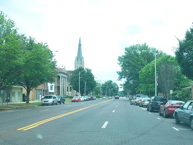 Brookhaven's tree-lined streets invite leisurely exploration. Every brick building hides budget-friendly treasures waiting to be discovered.