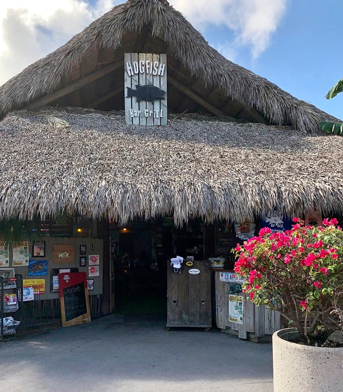 Under that thatched tiki roof? The kind of seafood that makes you consider selling your house and moving to the Keys.