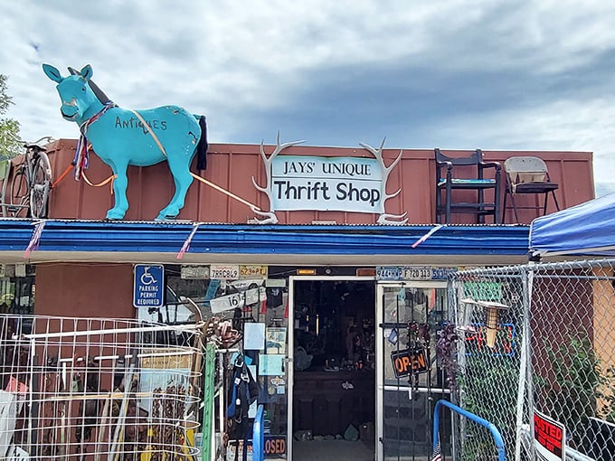 That turquoise donkey on the roof isn't mirage &ndash; it's Jay's Unique Thrift Shop's way of saying "normal shopping stops here!"