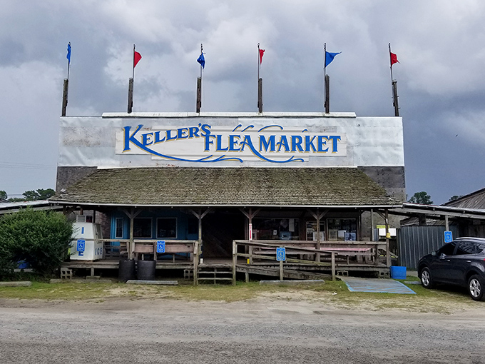Those colorful flags aren't just decoration - they're signals that serious bargain hunting happens here daily.